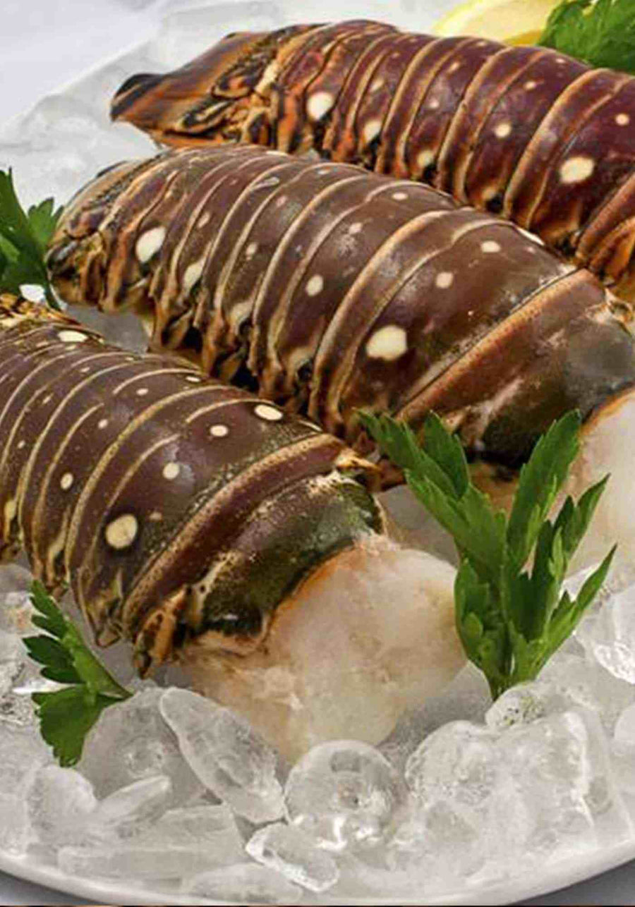 Fresh Grouper From Lockharts Seafood In Tarpon Springs Florida ...